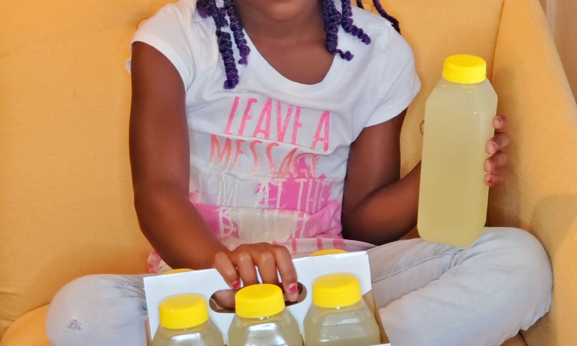 Fresh Squeezed Lemonade (Pint sized 6 pack) – Squeeze The Juice